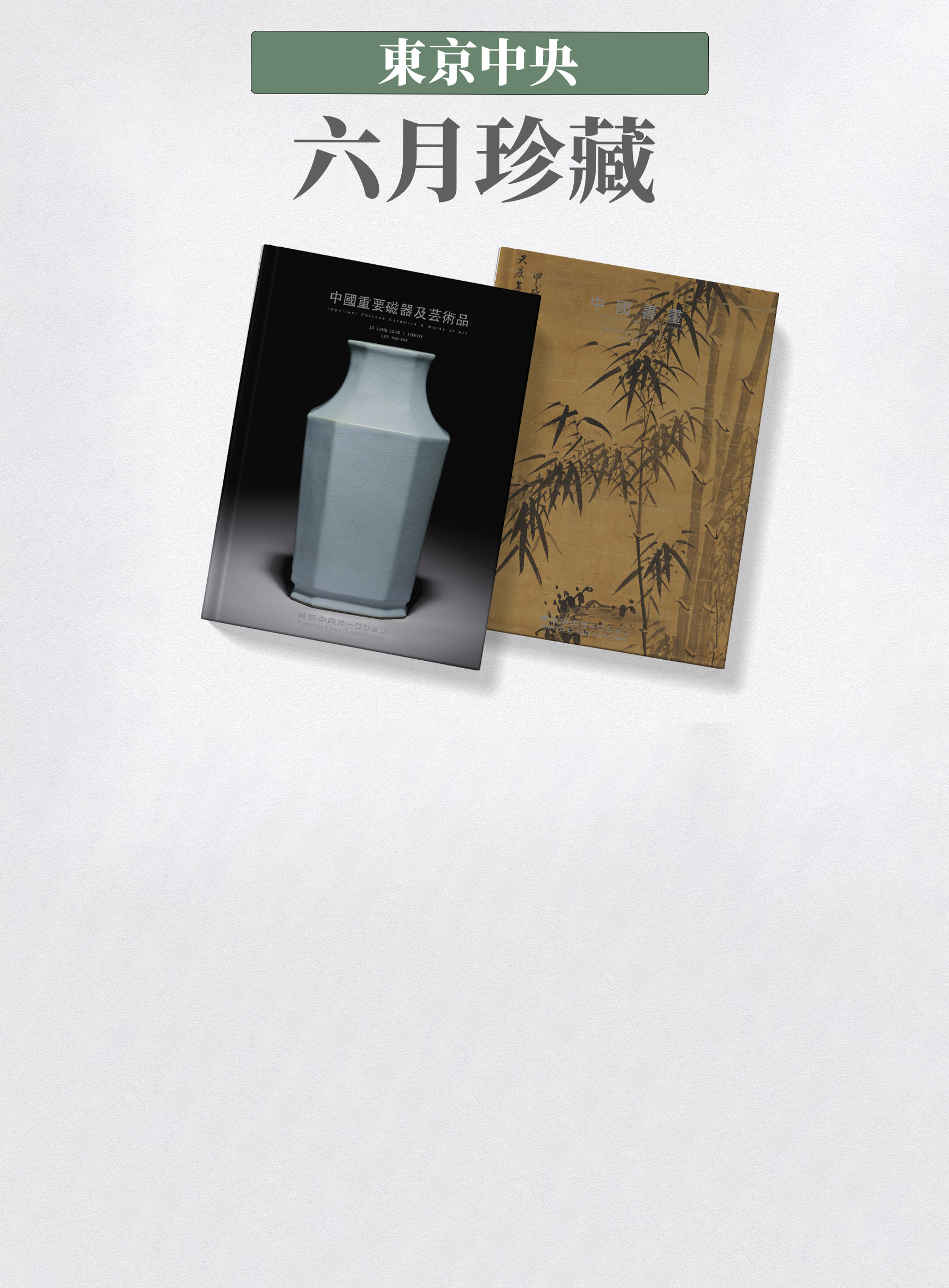 Tokyo Chuo Auction